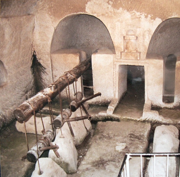 “How do they make cooking oil?” | CATERPICKLES