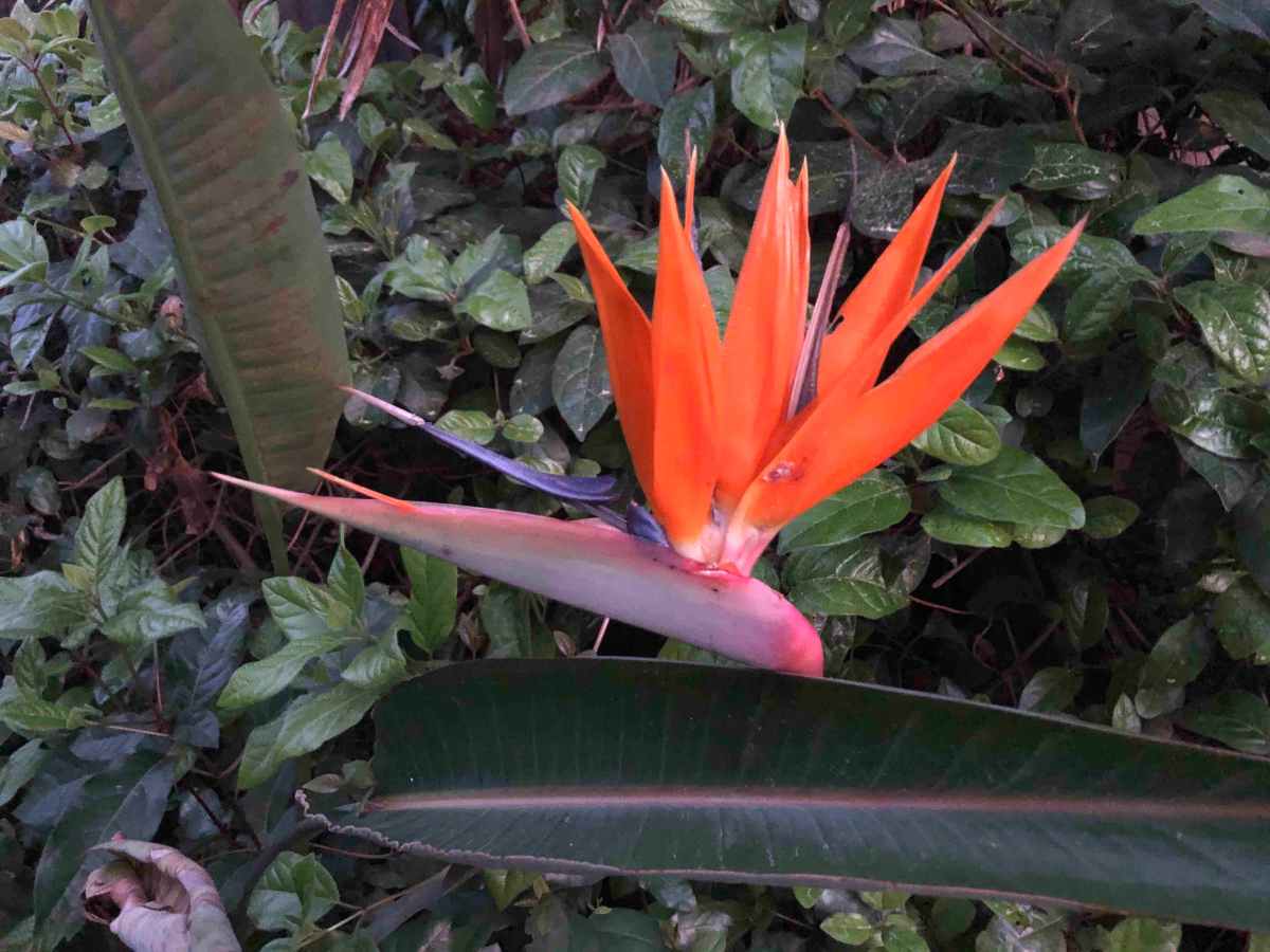 What happens now? | CATERPICKLES